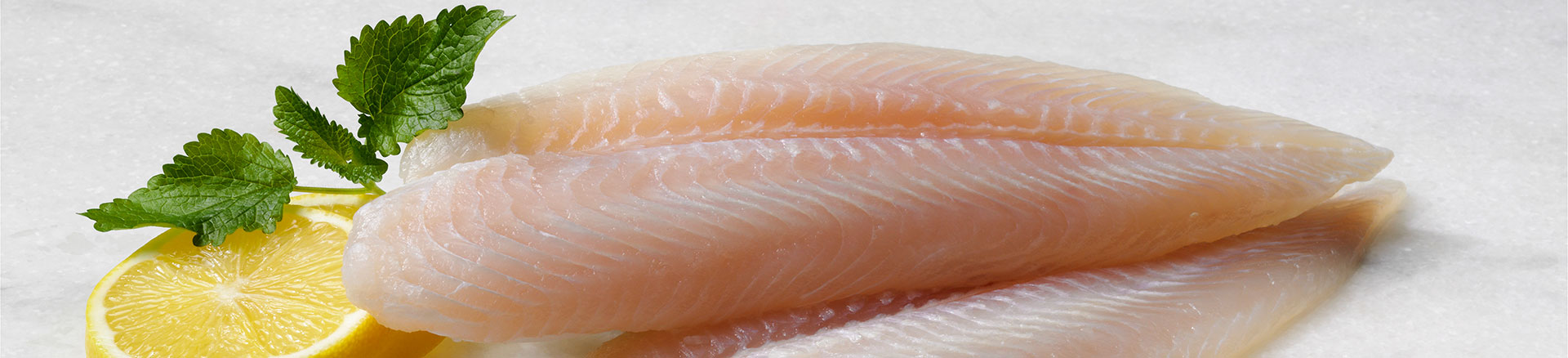 Le poisson dans l'alimentation de bébé | Blédina